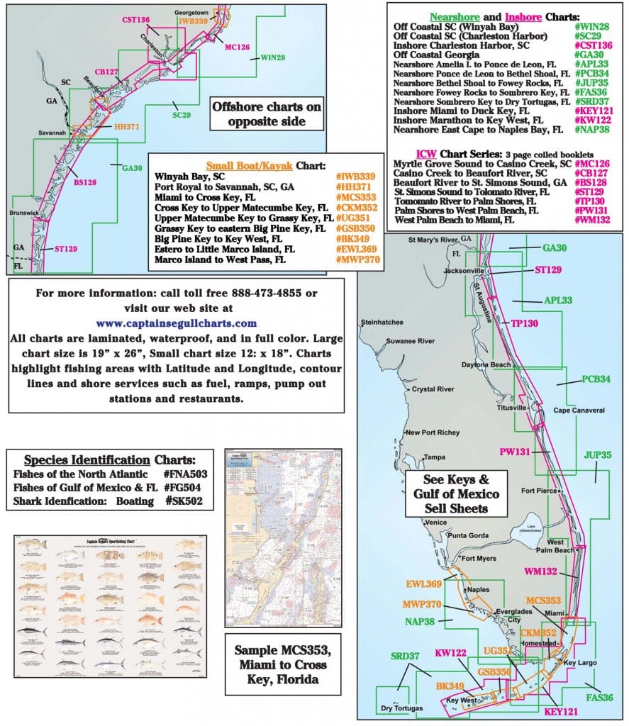 Coastline Layout - Captain Segull's