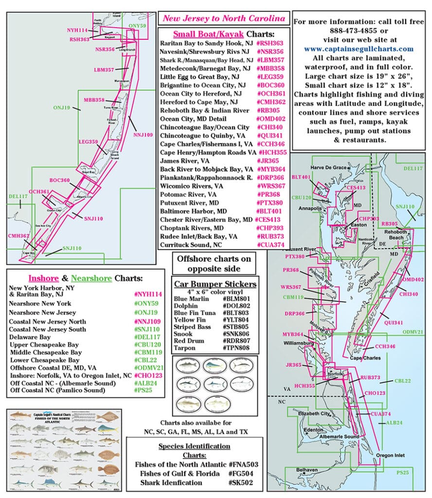 Coastline Layout - Captain Segull's